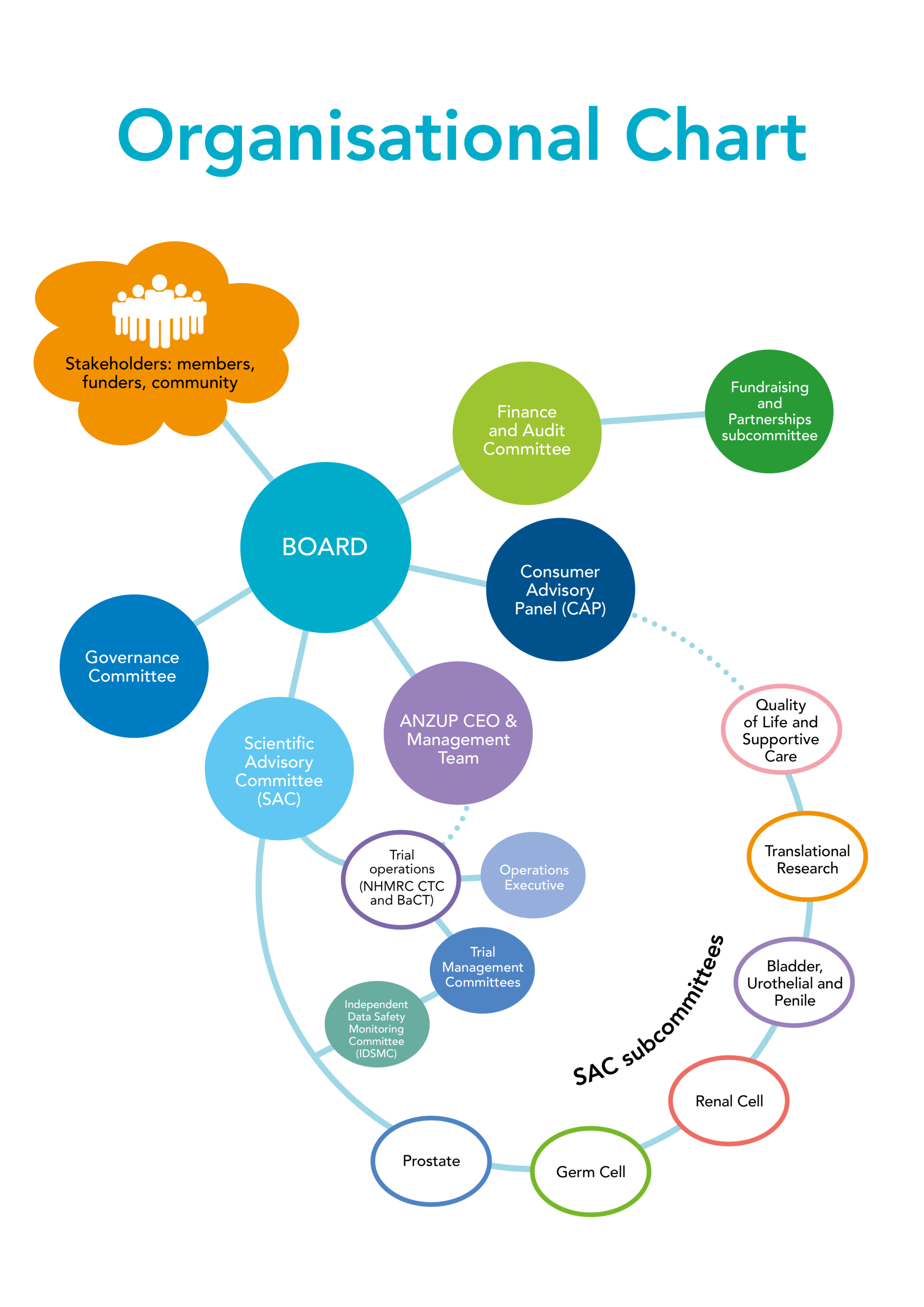 Our Governance – ANZUP